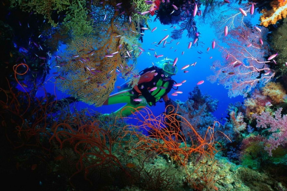 Primetime Vacations Specials - American Vacation Marketing