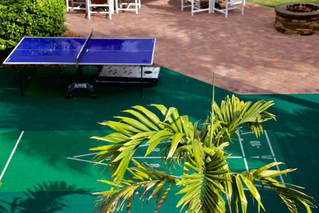 Magic Tree Resort - American Vacation Marketing